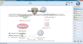 Audi VW Skoda Cupra Online Coding & Module Programming & Key Programming| ODIS Dealer Access ...